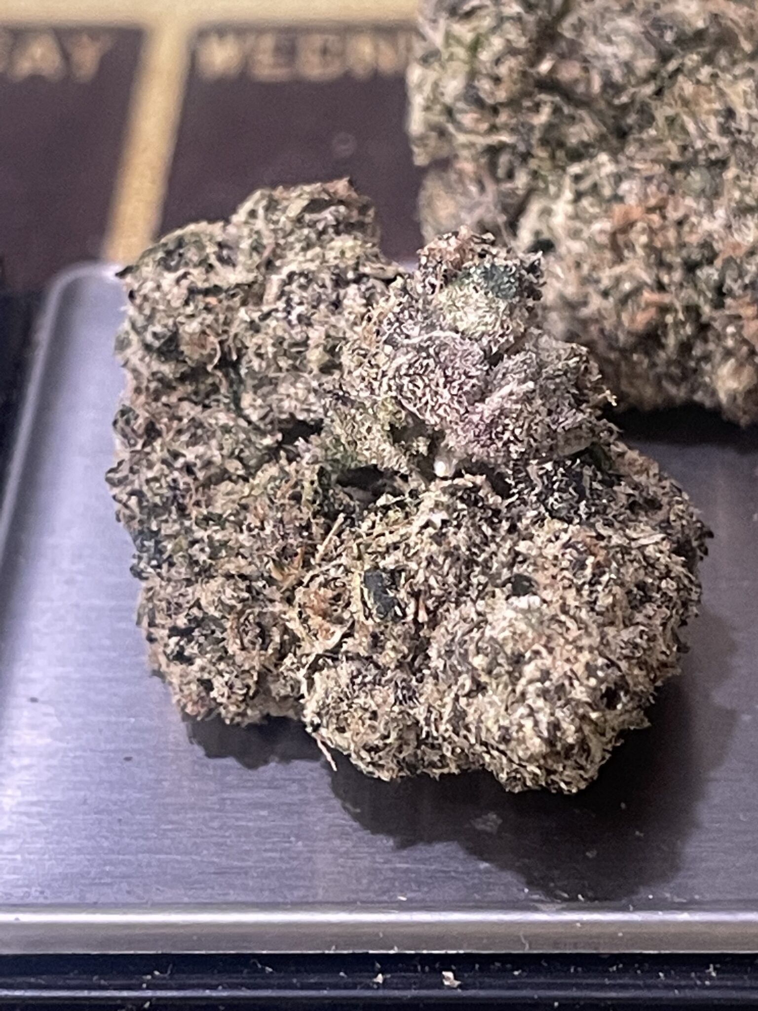 Jamaican Gumbo (HYBRID) EXOTICS +++ NEW 35% THC - Splash Bros.