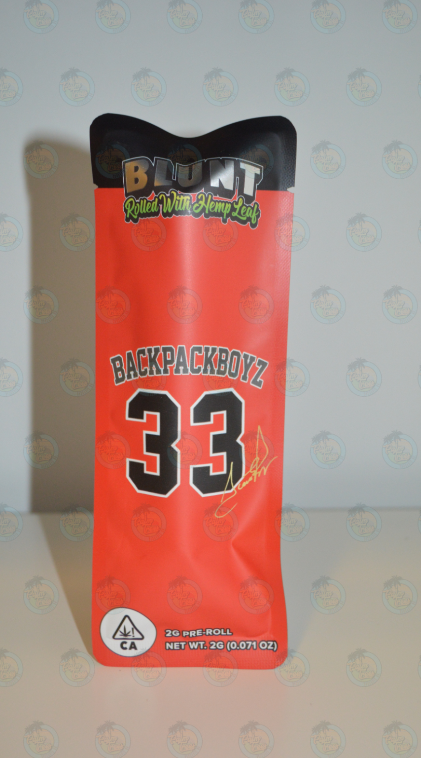 Exclusive Backpack Boys 2 Gram Blunts in NYC by Splash Brothers