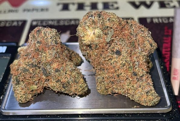 PANAMA RED3.5g SATIVA 🔥🔥29%THC - Weed Delivery New York City | Cannabis ...