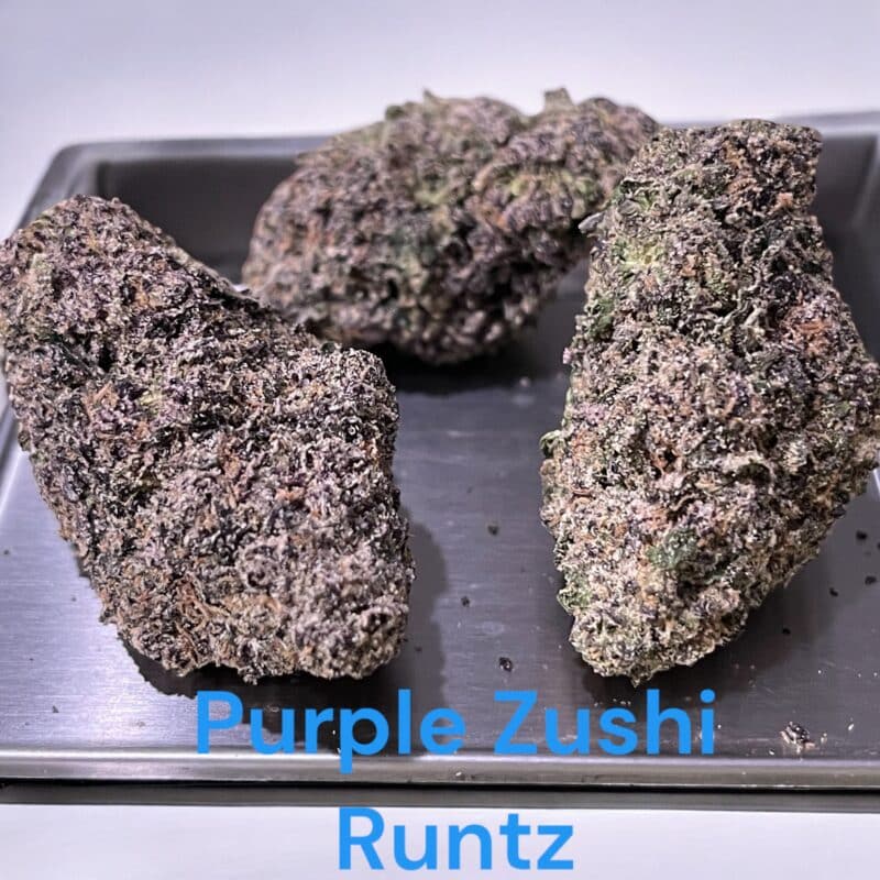 PURPLE ZUSHI RUNTZ 3.5g HYBRID EXOTICS 37%THC 🔥🔥🔥Small BATCH ZAZA - Splash Bros.